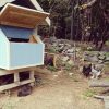 Cutest Chicken House You Have Ever Seen » HG