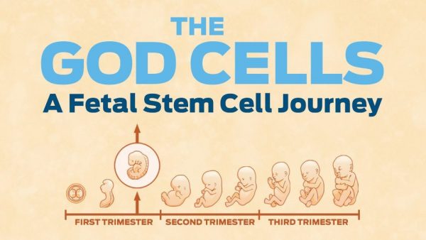 Is This Stem Cell Film the Most Controversial Documentary Ever? » HG
