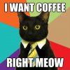 Cat Shit Coffee for $80 a cup?! » HG