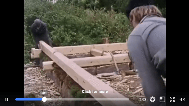 VIDEO: How to Build a Log Cabin with Simple Tools for Cheap! » HG