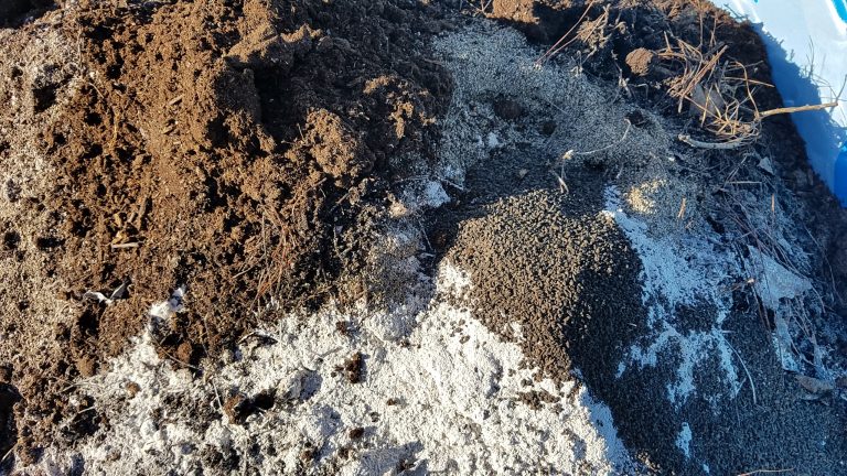 Superfood Low-Water Soil Mix for Gardening Success! » HG