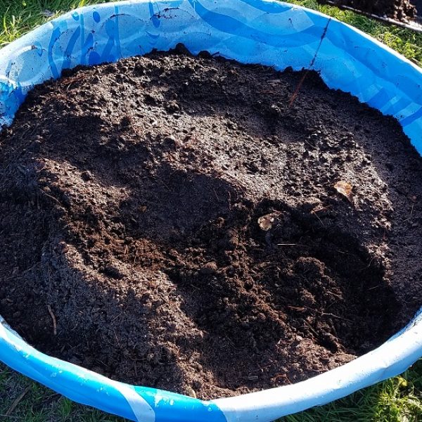 Superfood Low-Water Soil Mix for Gardening Success! » HG