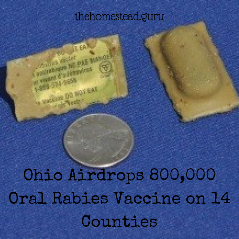 Ohio Airdrops 800,000 Oral Rabies Vaccine on 14 Counties » HG