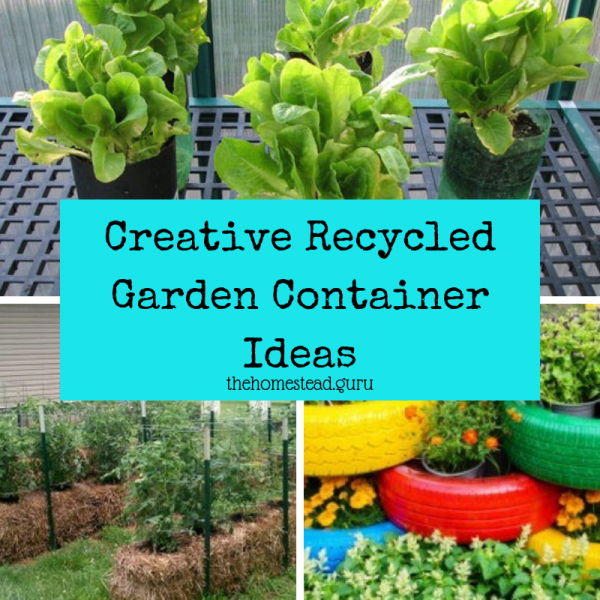 Creative Garden Container Ideas - DIY & Recycled » HG