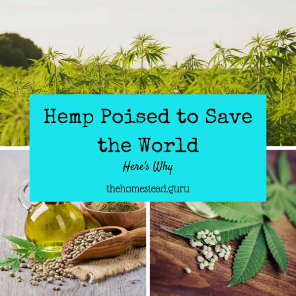 Hemp Will Save the World: Here's Why » HG