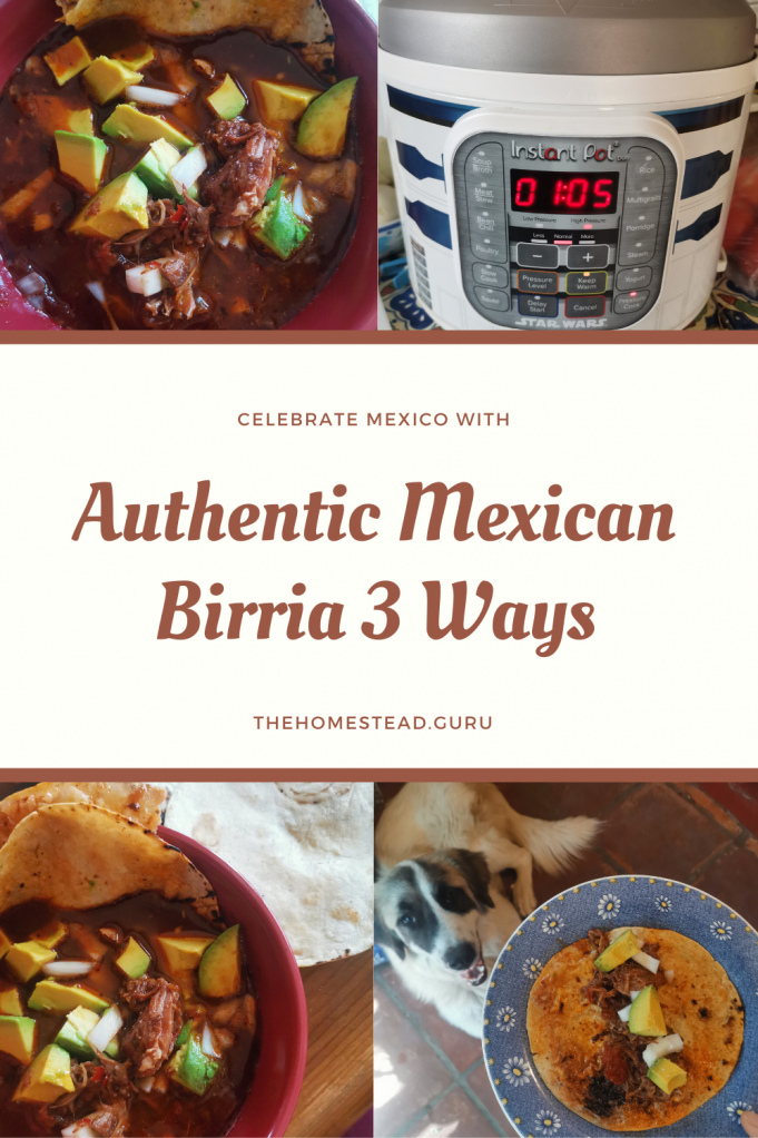 Authentic Mexican Birria: Enjoy this Scrumptious Dinner with Your Loved ...