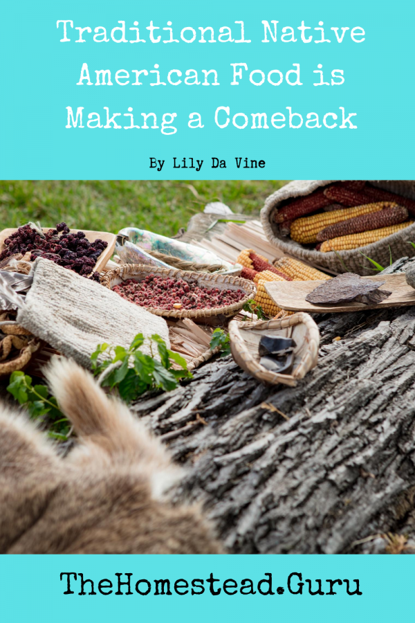 Traditional Native American Cuisine is Making A Comeback! » HG