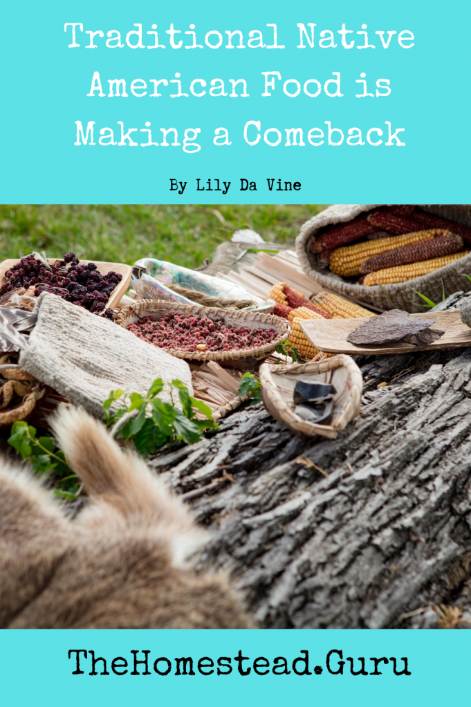 Traditional Native American Cuisine is Making A Comeback! » HG