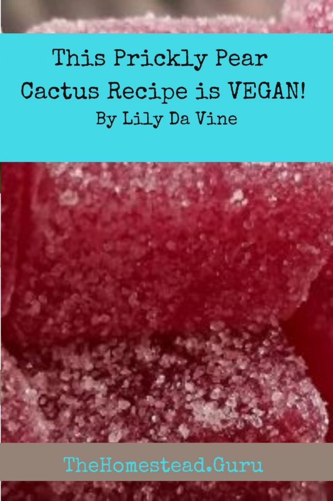 This Prickly Pear Cactus Candy Recipe is VEGAN! » HG