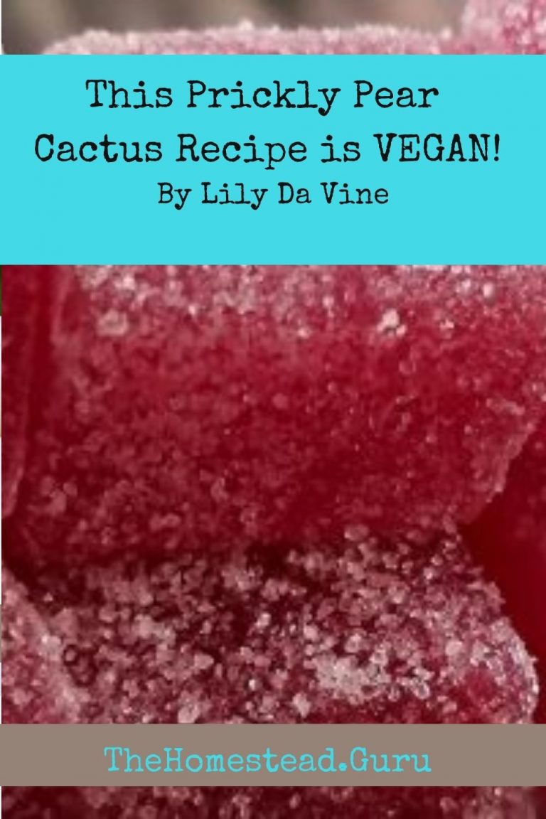 This Prickly Pear Cactus Candy Recipe is VEGAN! » HG